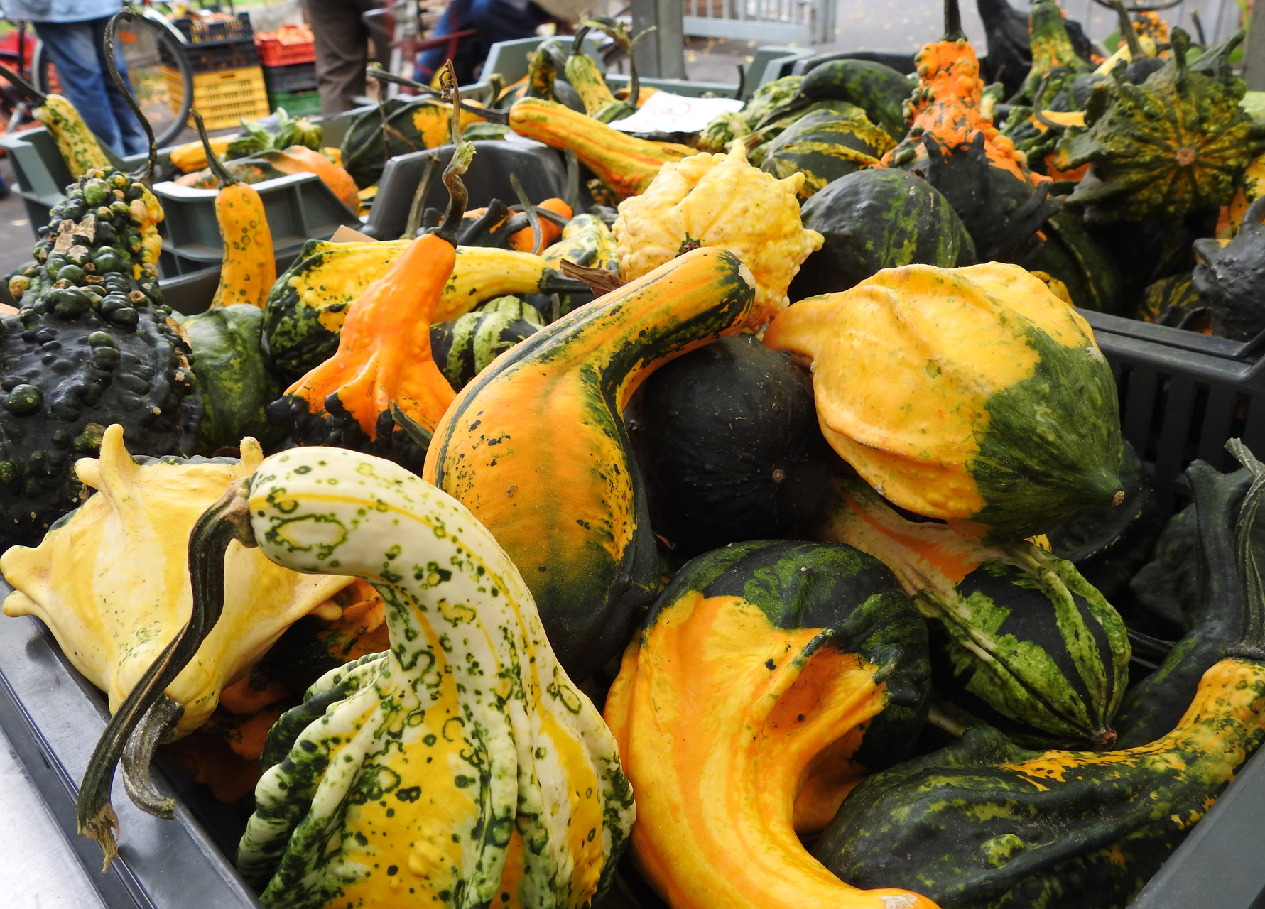 Gyulai Hírlap - Novemberig lesz dísztök a gyulai piacon